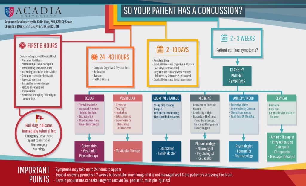 Concussion Management Flowchart – Athletic Therapy Interactive ...